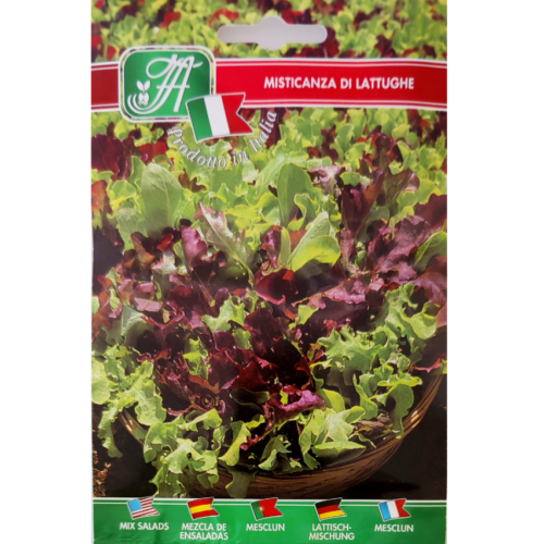 Gemengde sla mix voor salade 'Misticanza di Lattughe' (Lactuca Sativa ...